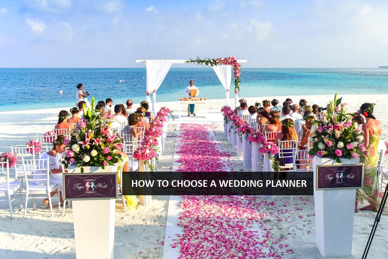 HOW TO CHOOSE A WEDDING PLANNER Wedding Planner In Udaipur
